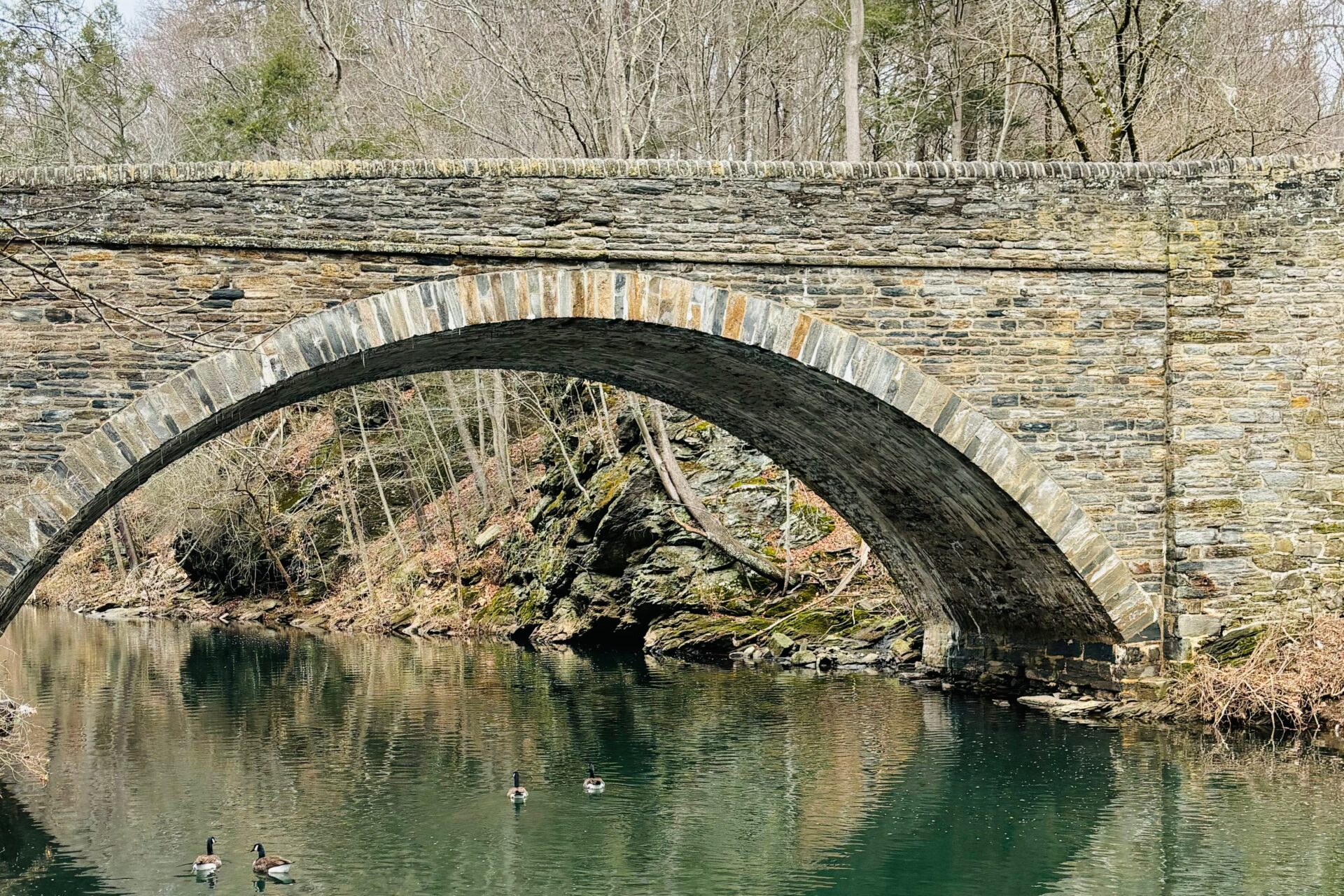 Who We Are | The Main Line Center for the Family